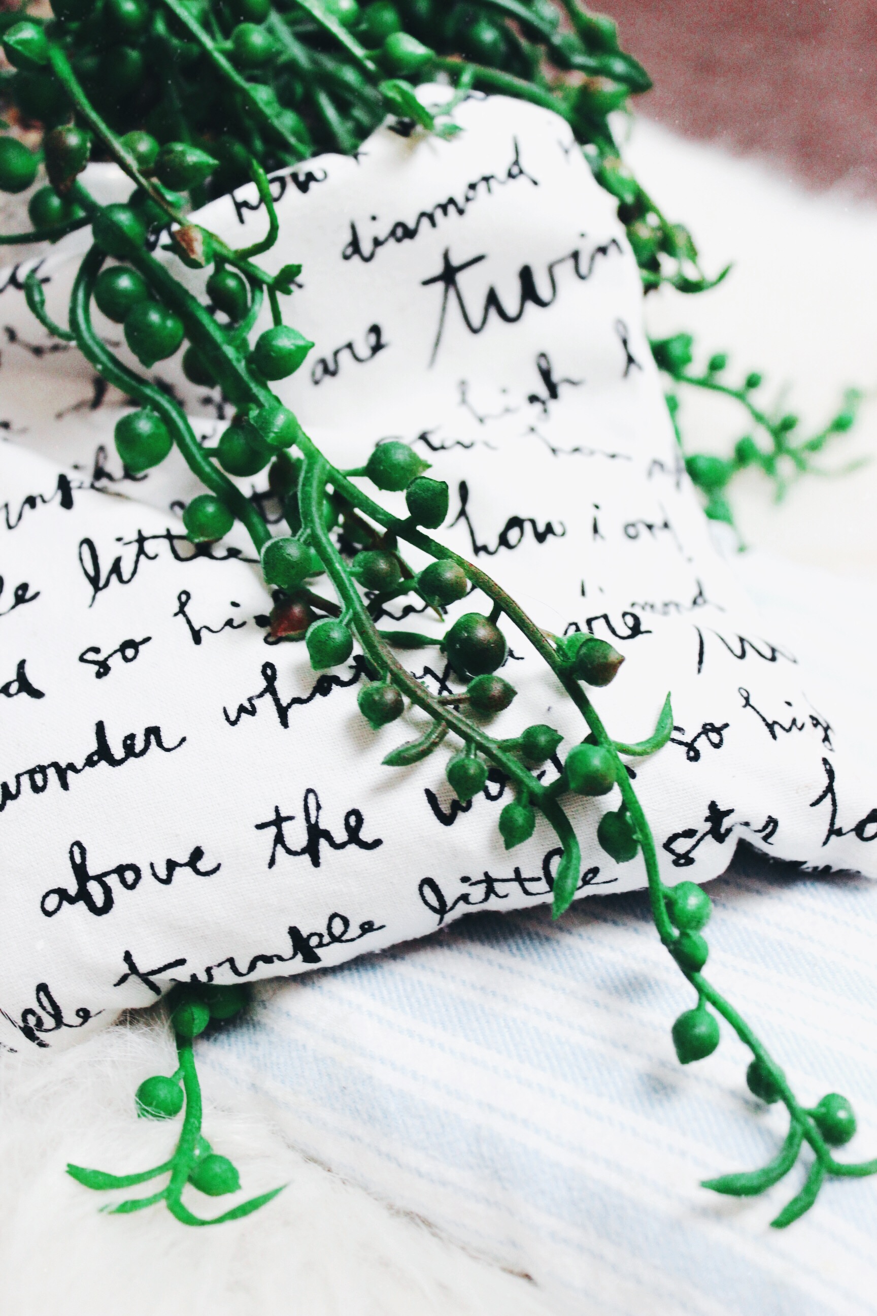 DIY Heat Packs – The Brie Effect