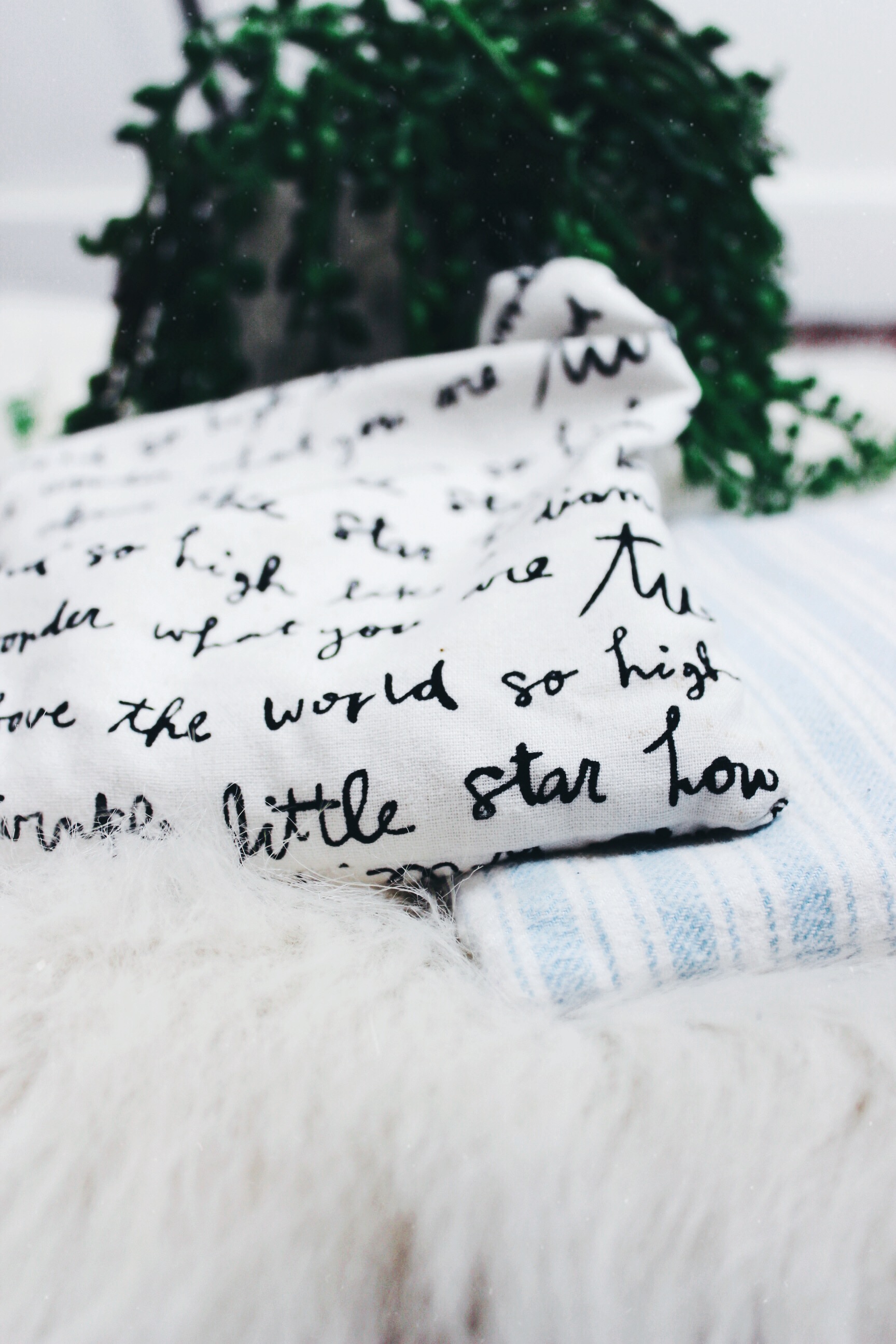 DIY Heat Packs – The Brie Effect